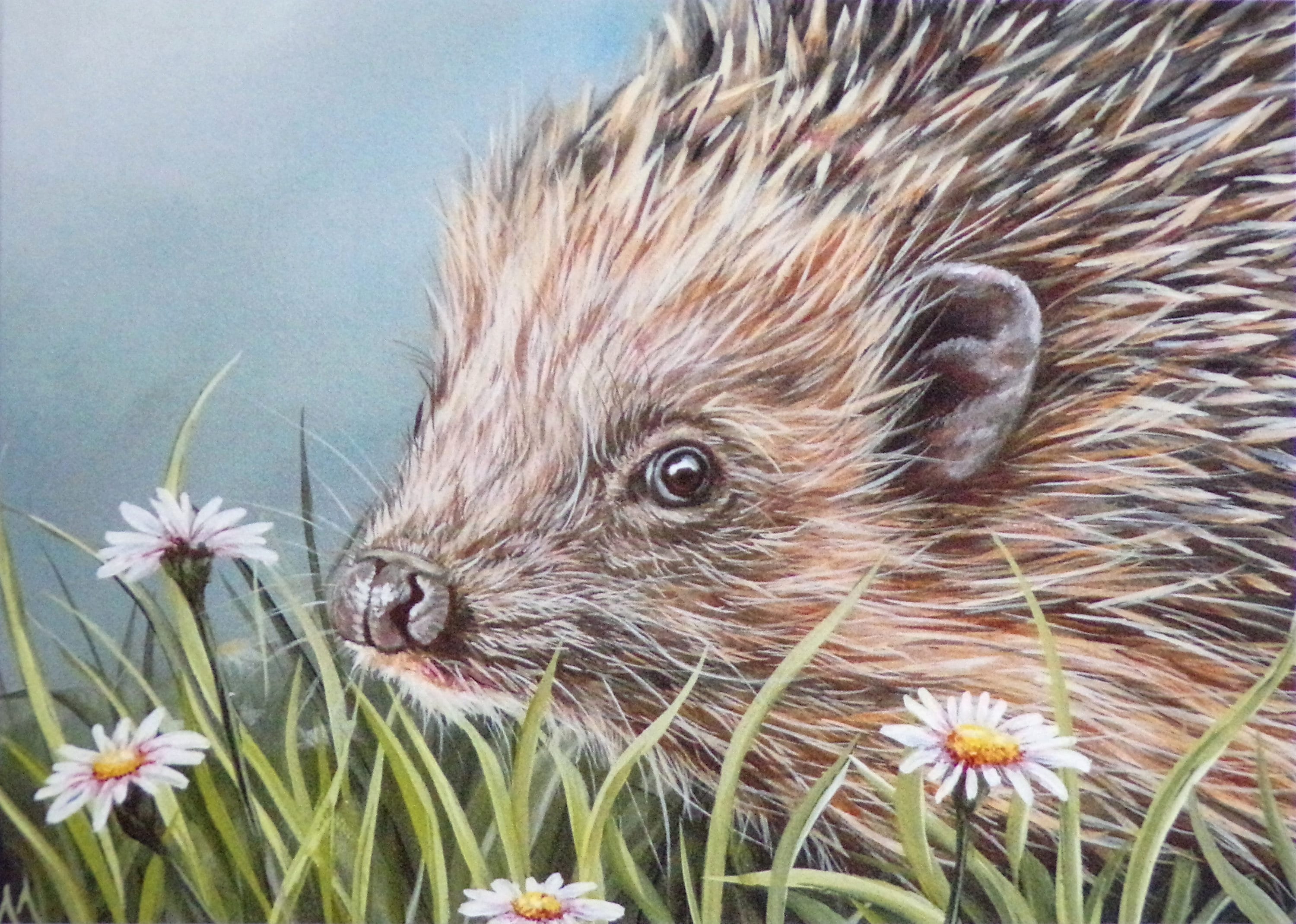 Hedgehog Greeting Card Birthday / Blank Card Wildlife / - Etsy