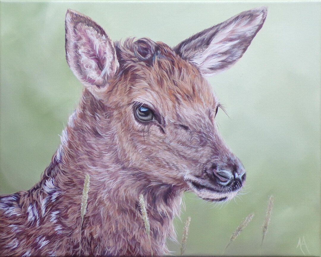Original Painting by Alison Armstrong - Wildlife/ Animal Canvas - Deer ...