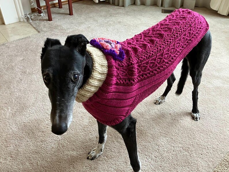 Hand Knitted Sweater. You Can Order Color and Size for Your Greyhound ...