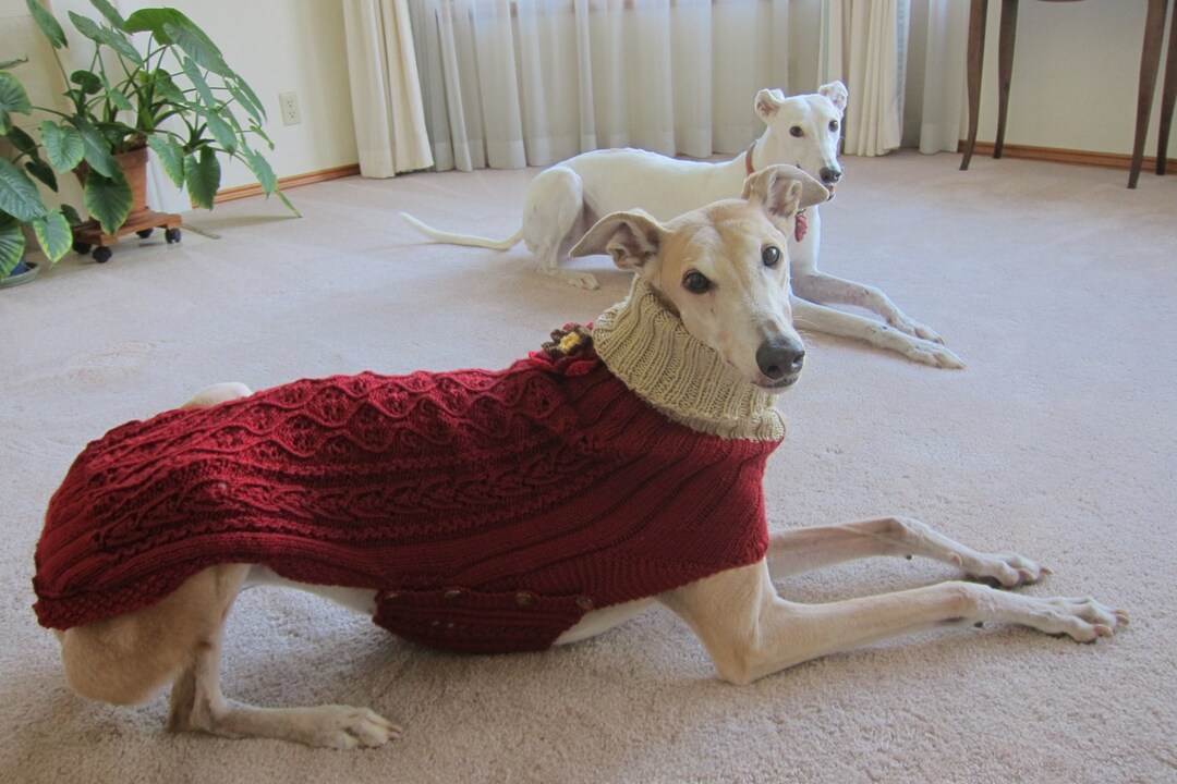 Handknitted Sweaters for Greyhound You Can Order Color and Size for ...