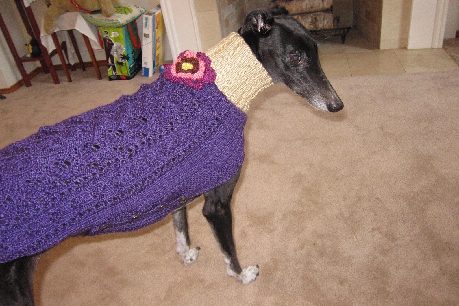 Hand Knitted Sweater. You Can Order Color and Size for Your Greyhound ...
