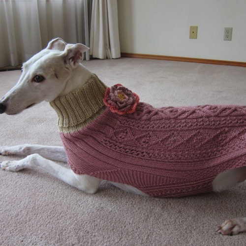 Handknitted Sweaters for Greyhound You Can Order Color and - Etsy