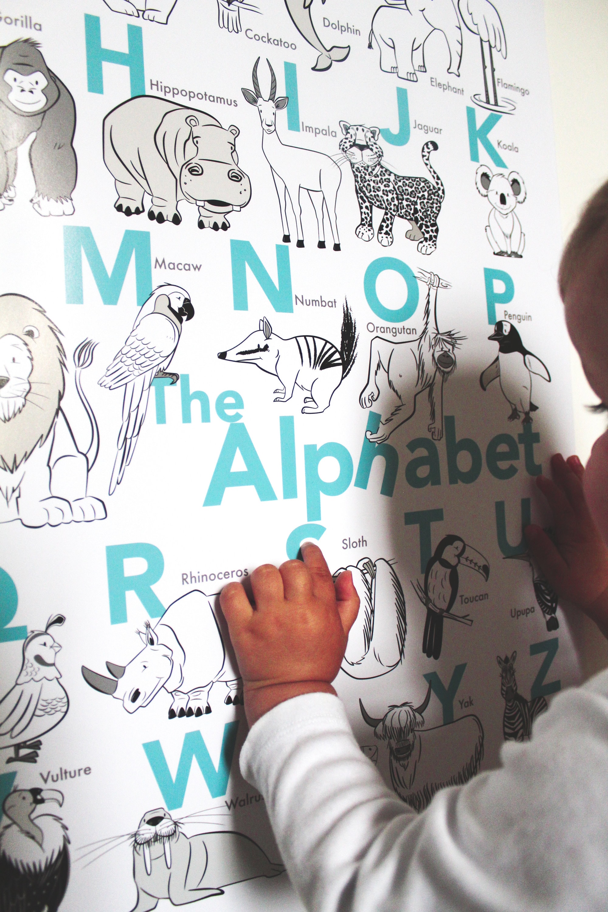 Alphabet Poster A2 Size Alphabet Poster Children's ABC - Etsy