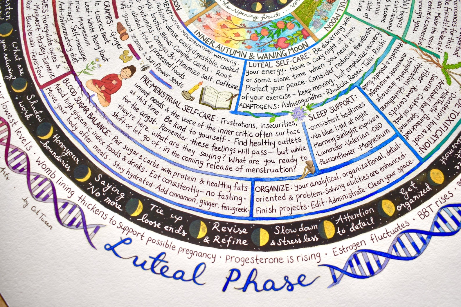 Menstrual Cycle Syncing Guide | Wheel of the Womb | Hormone-balancing ...