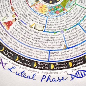 Menstrual Cycle Syncing Guide | Wheel of the Womb | Hormone-balancing ...