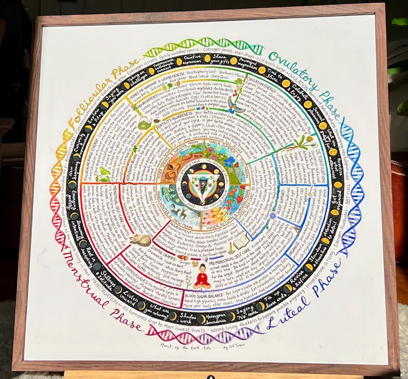 Menstrual Cycle Syncing Guide | Wheel of the Womb | Hormone-balancing ...