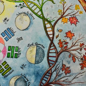 Yin & Yang Taoism Wheel of the Year | Cycles of the Moon and Seasons ...