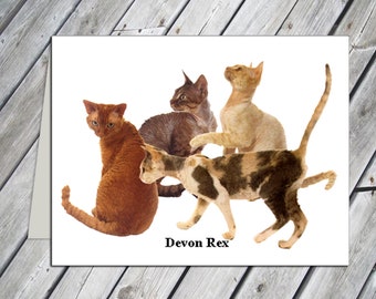 Black Smoke DEVON REX CAT Christmas Cards Pack of 6 by Suzanne - Etsy