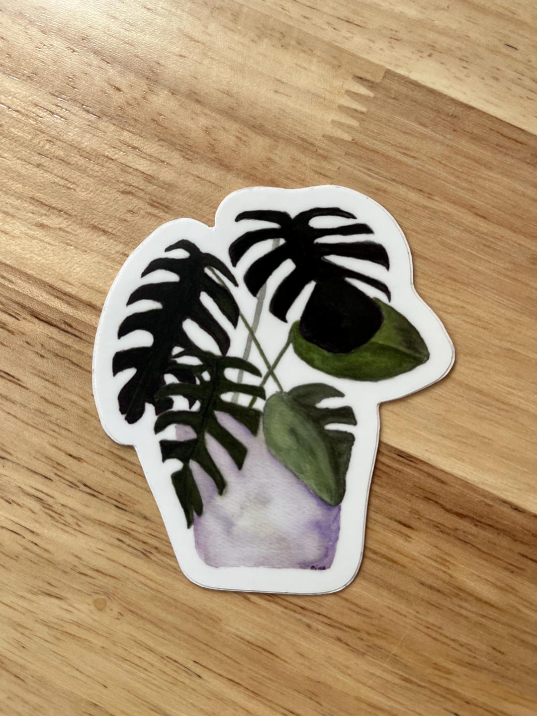 Monstera Vinyl Sticker - Etsy