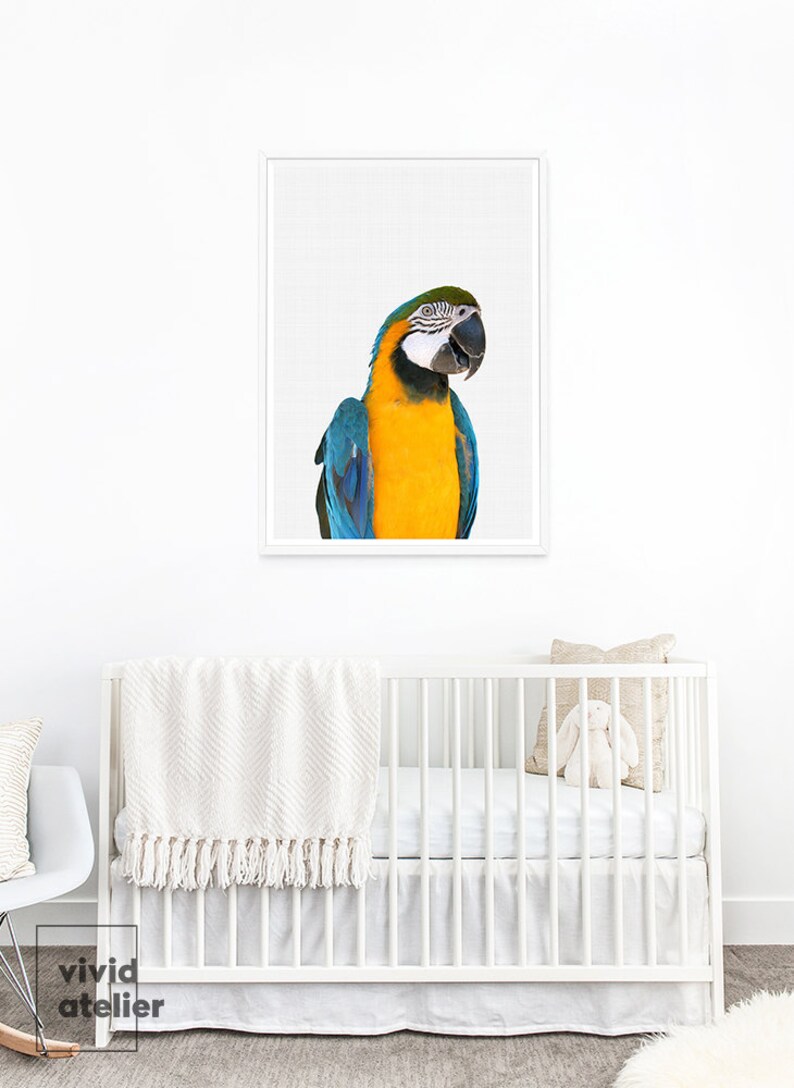Parrot Print Parrot Printable Tropical Nursery Tropical | Etsy