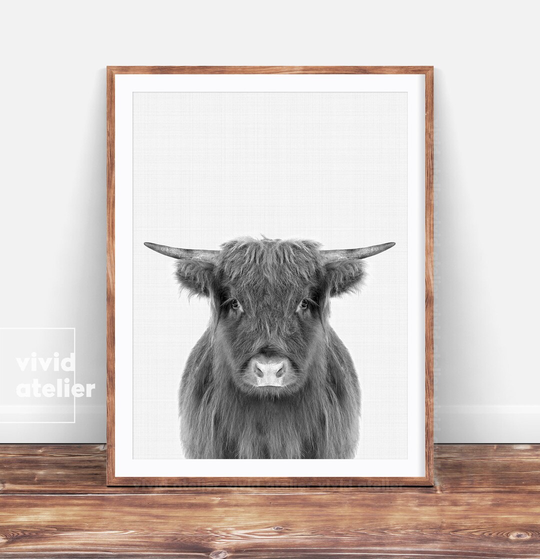 Farmhouse Decor, Highland Cow Print, Nursery Wall Art, Animal Print ...