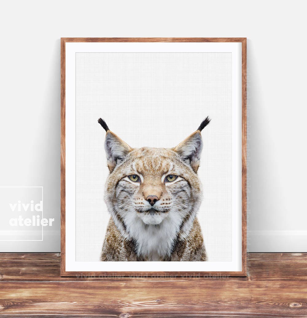 Lynx Print Safari Nursery Animal Print Wild Animal Print | Etsy
