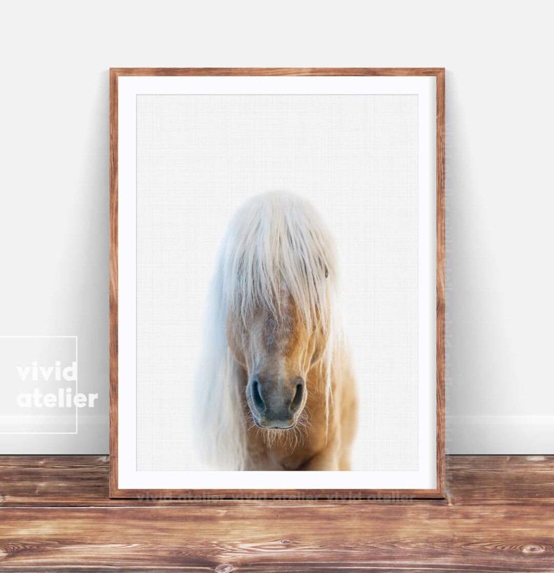 Modern Horse Print, Horse Photography, Equestrian Art, Horse Wall Art ...