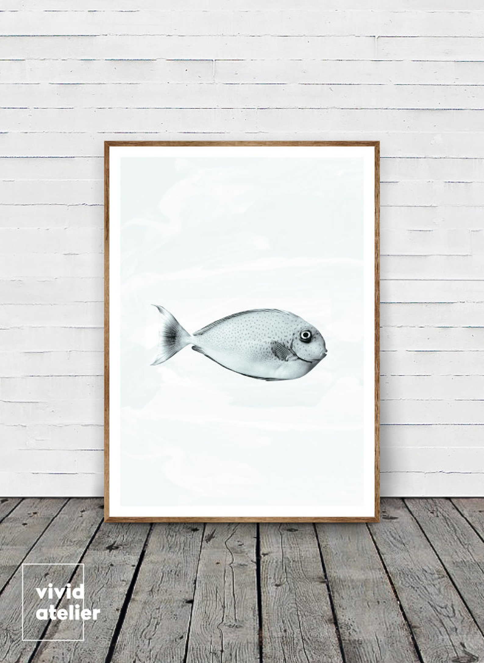 Fish Print Fish Photo Aquarium Printable Wall Art Gift - Etsy