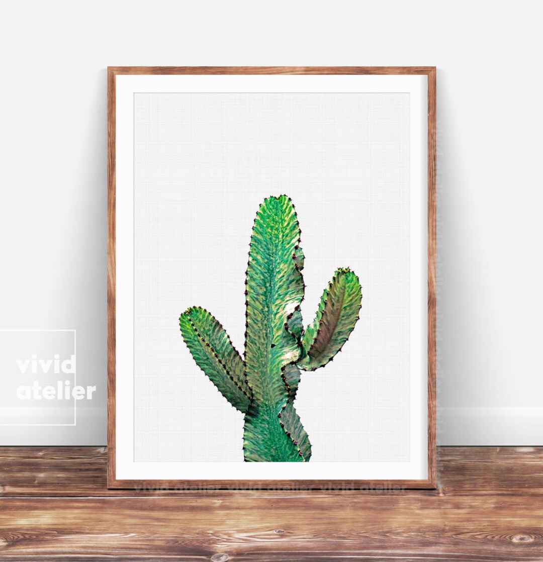 Cactus, Cactus Print, Watercolor Cactus, Cacti, Cactus Photography ...