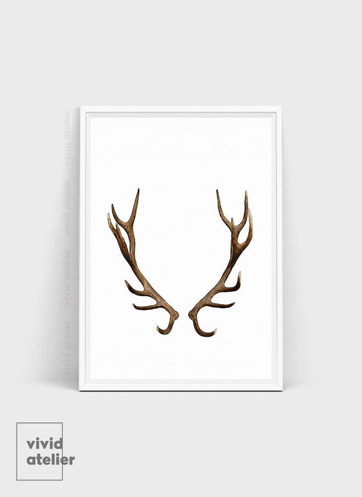 Deer Antlers Deer Print Deer Head Deer Decor Deer Art | Etsy