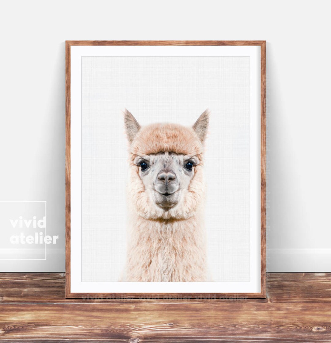Alpaca Print Baby Animal Prints for Nursery Nursery Wall - Etsy