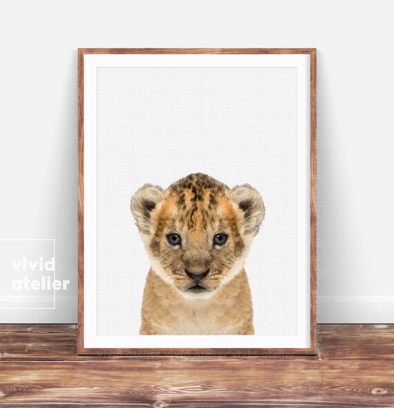 Lion Cub Print Animal Print Nursery Wall Art Nursery - Etsy