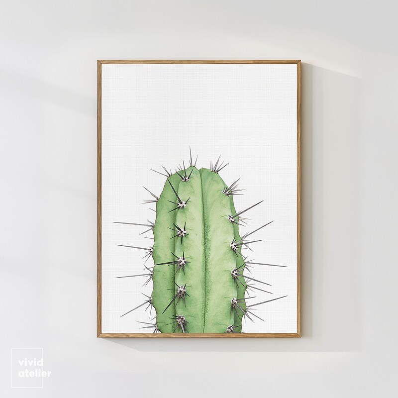 Cactus Poster - Etsy