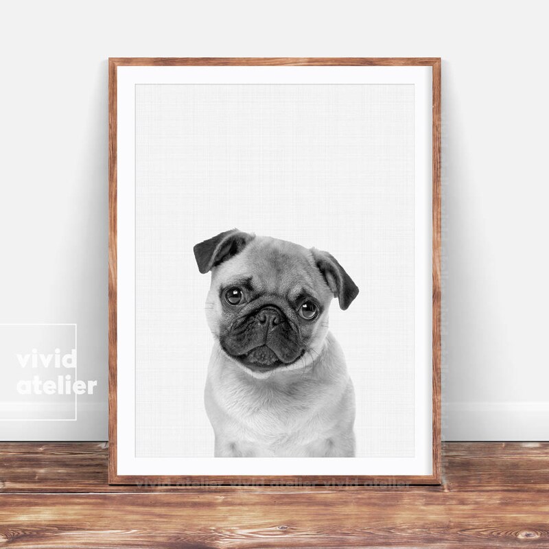 Pug Print - Etsy