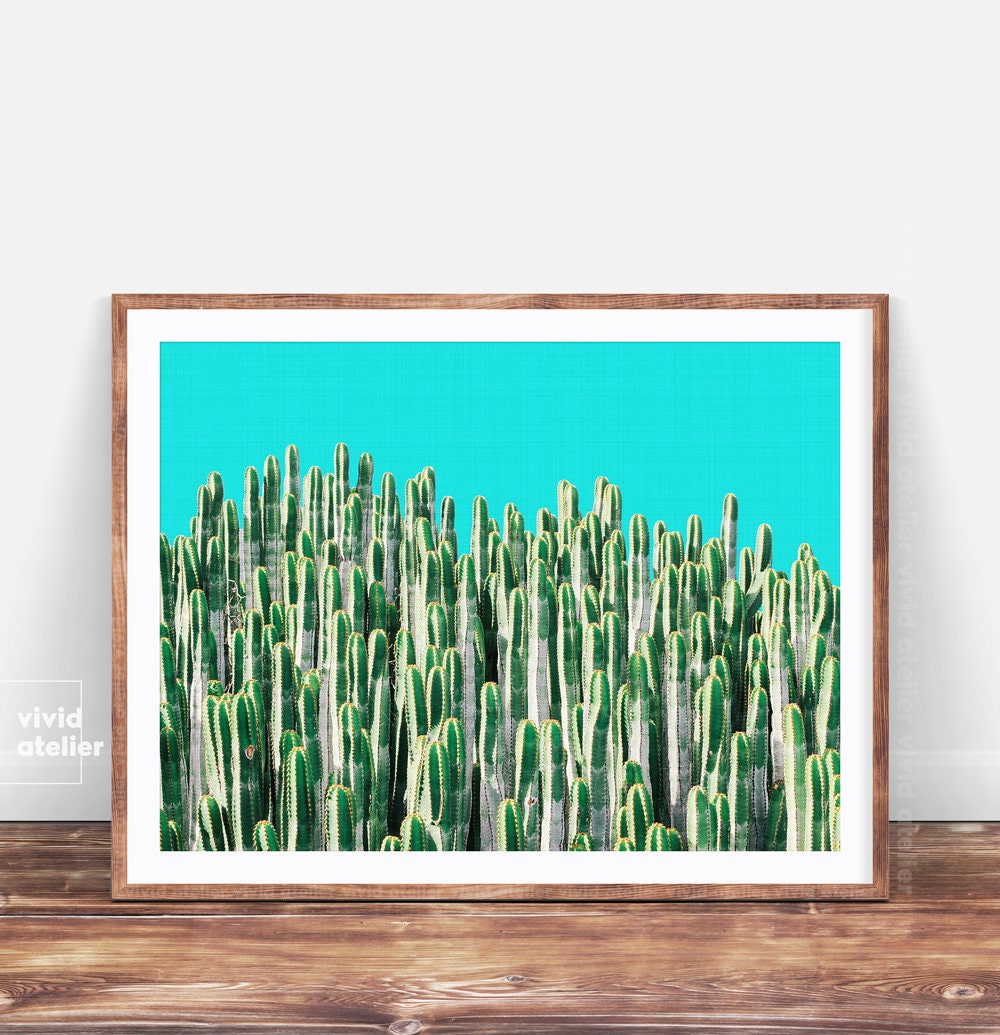 Cactus Print Cactus Cactus Photography Cactus Plant Print | Etsy