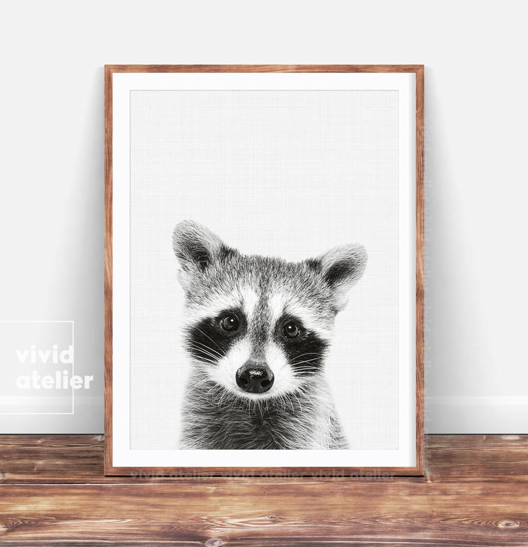 Forest Animals, Raccoon Print, Baby Animal Prints, Woodland Nursery ...