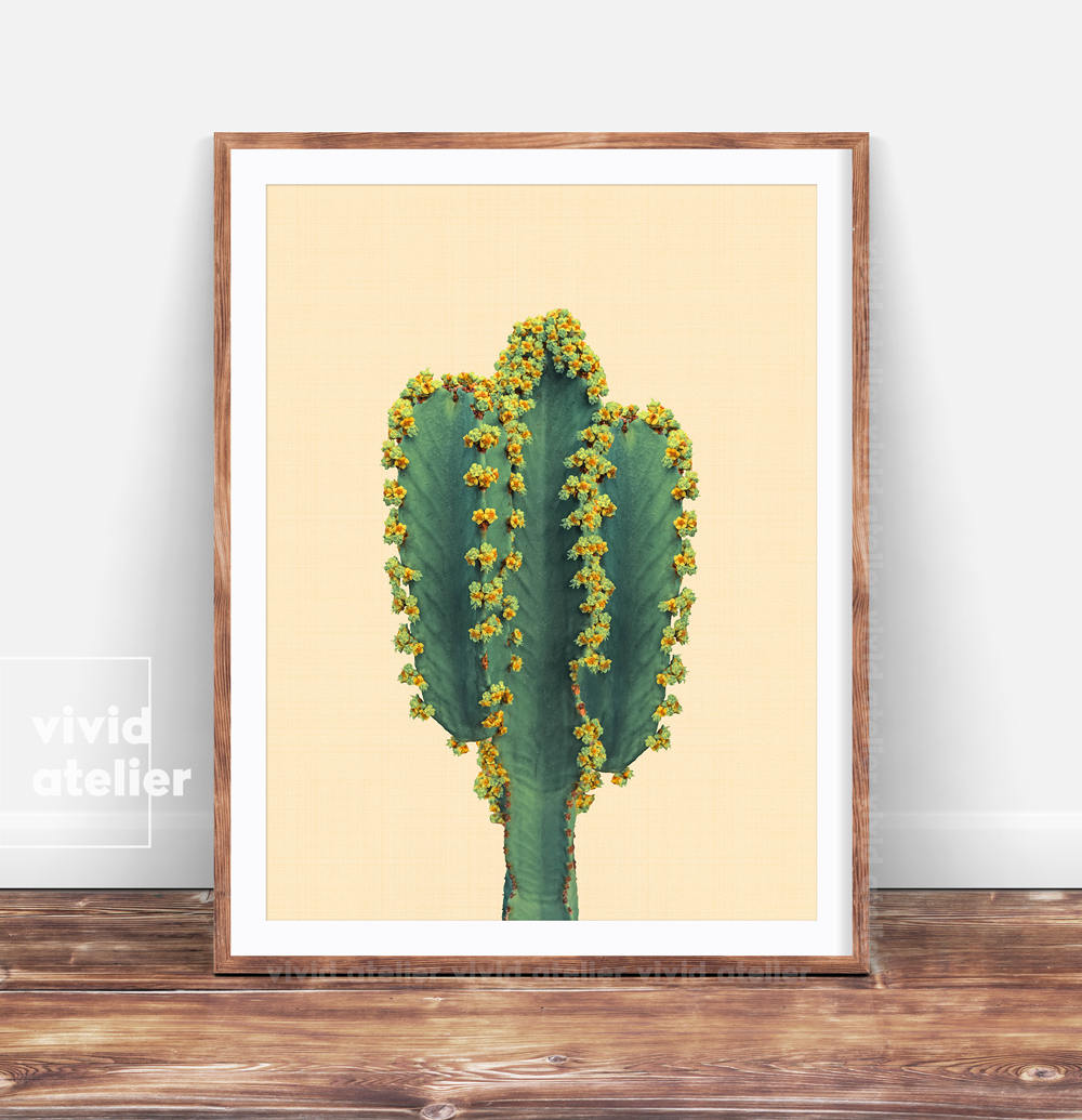 Cacti Print Cactus Print Printable Poster Succulent Print - Etsy