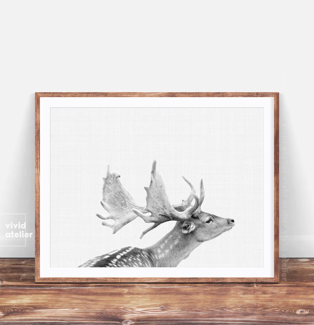 Black and White Deer Print Deer Photography Instant Digital | Etsy