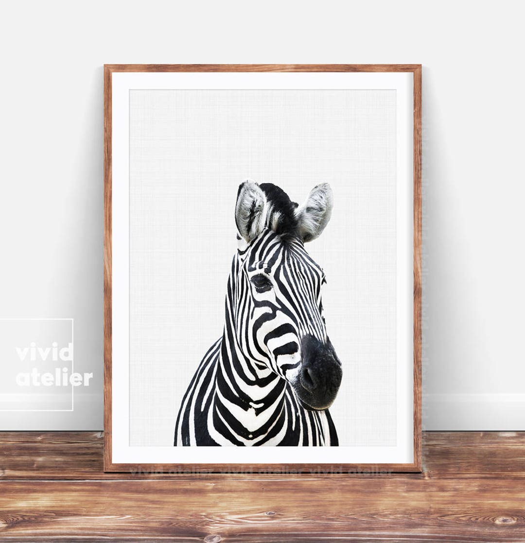 Zebra Print, Girl Nursery Decor, Baby Girl Nursery, Nursery Wall Art ...