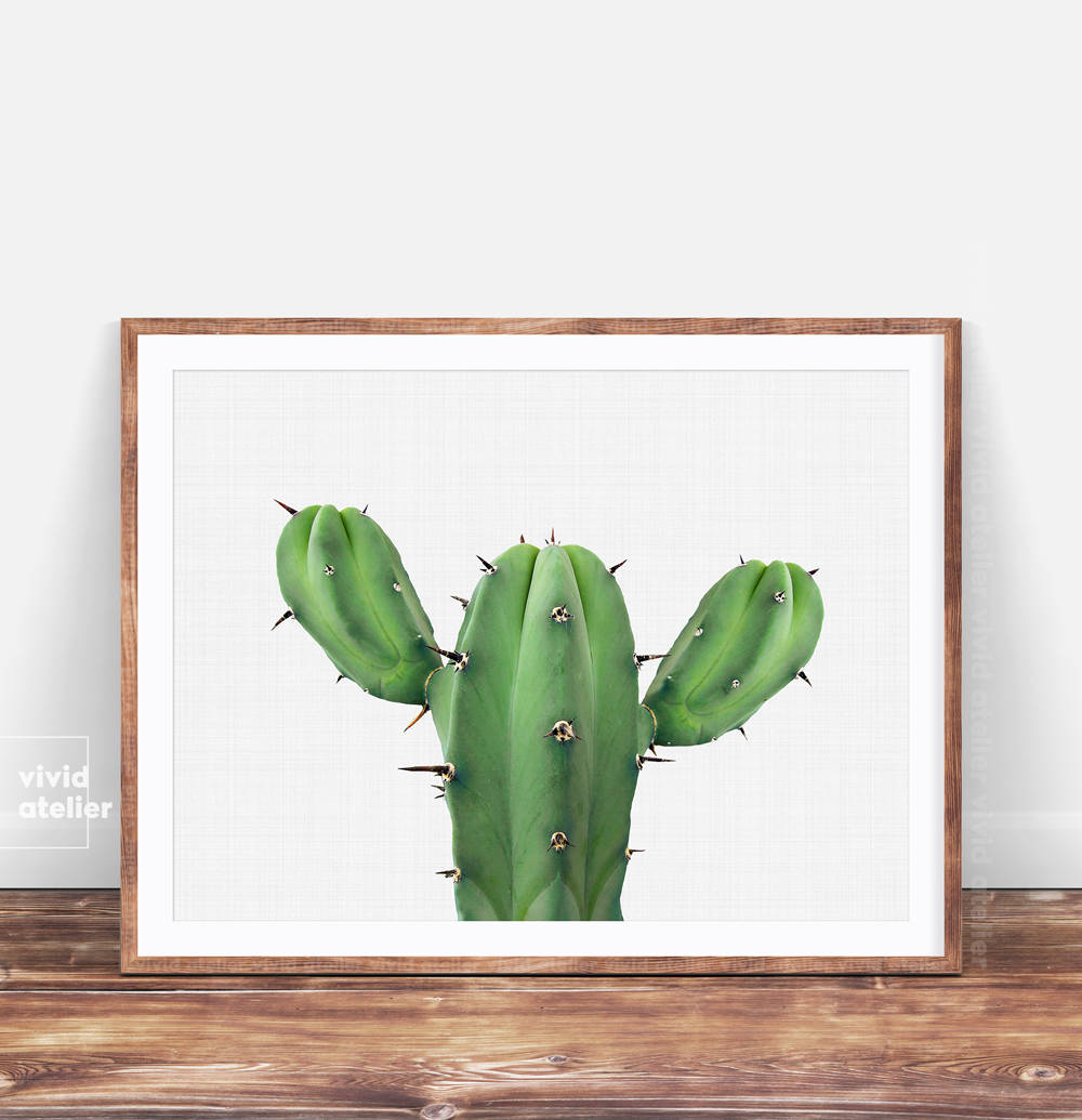 Digital cactus artwork Printable succulent download Cactus print Cacti ...