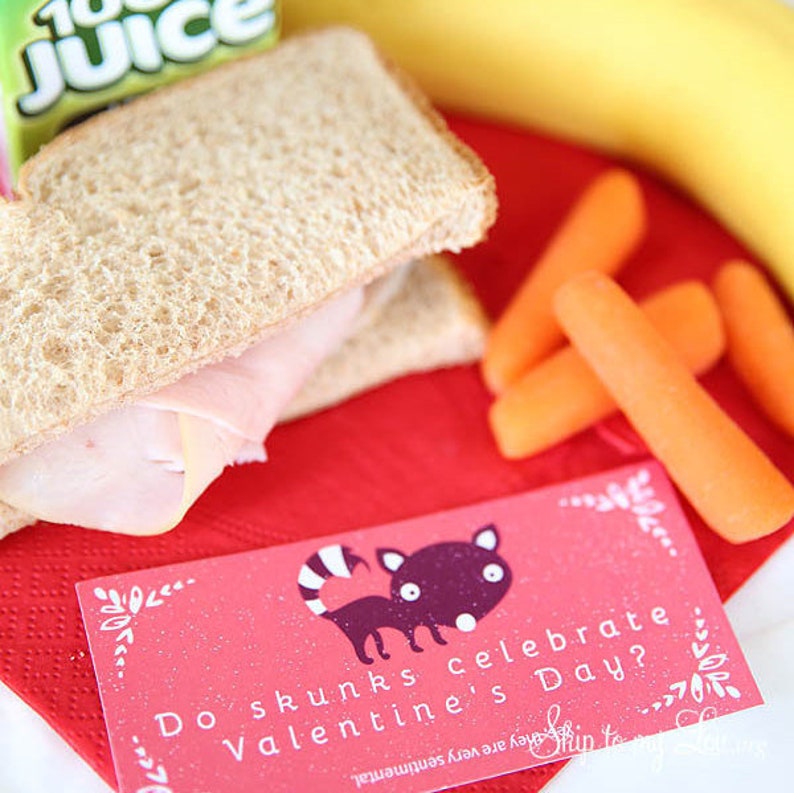 Valentine Lunch Box Jokes Printable - Etsy