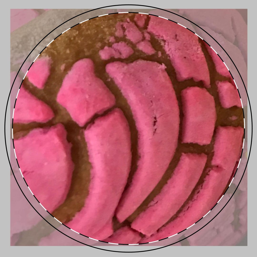 Pink Concha Ceramic Coaster - Etsy