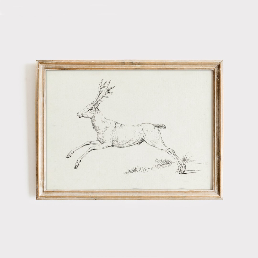 Antique Deer Sketch, Vintage Deer Drawing, Jumping Deer Sketch, Digital ...