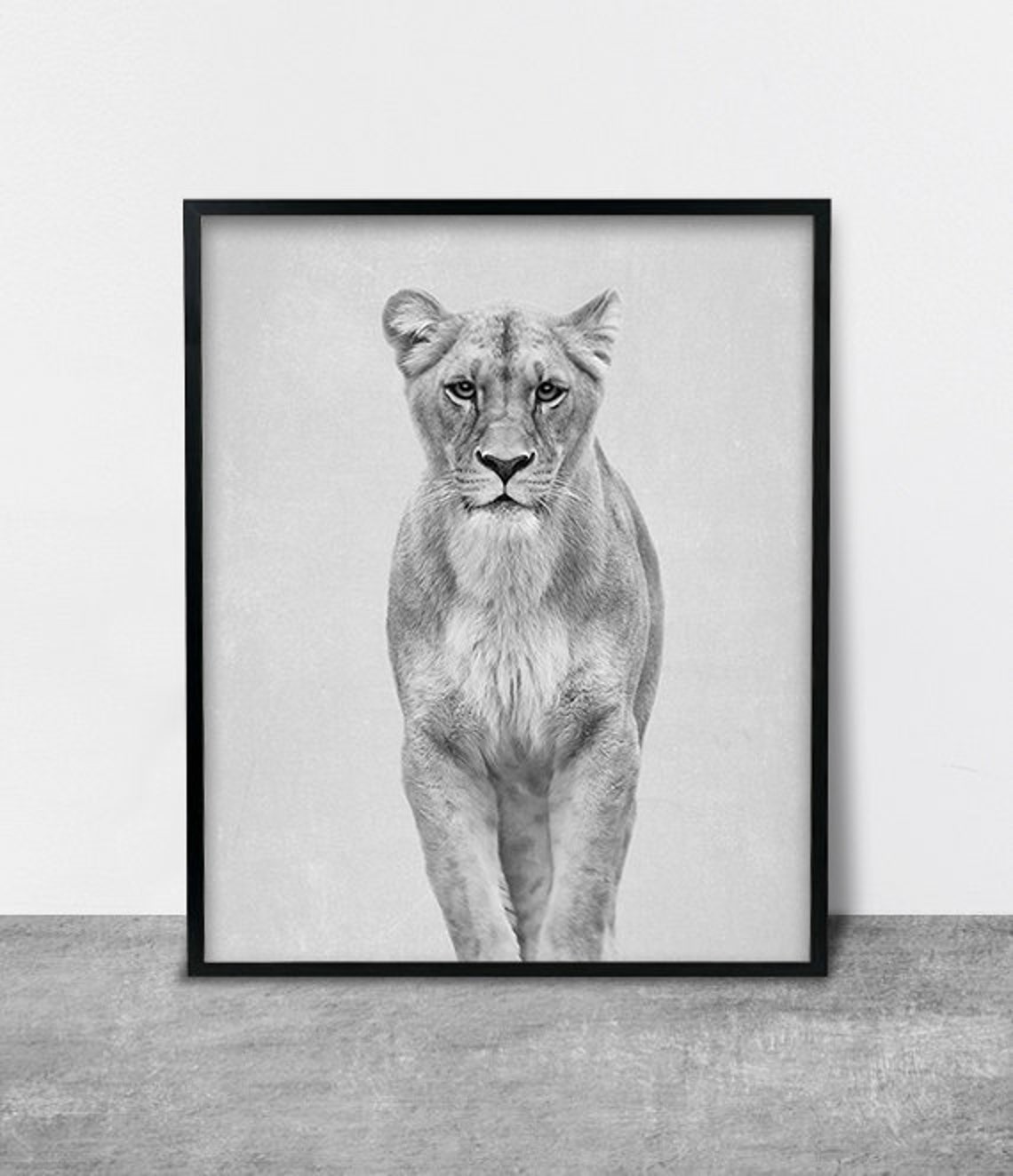 Lioness / Lion Print Contemporary Wall Art Printable Art | Etsy