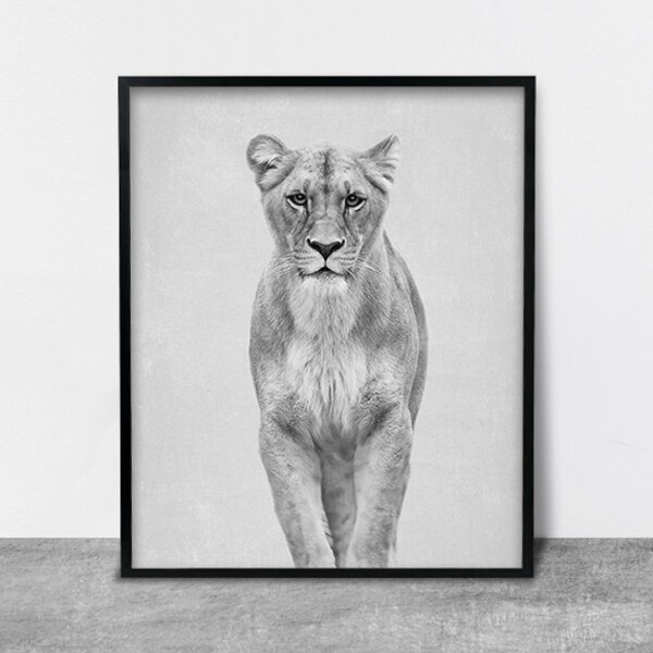 Lioness Art - Etsy