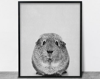 Guinea Pig Printable Wall Art - Etsy