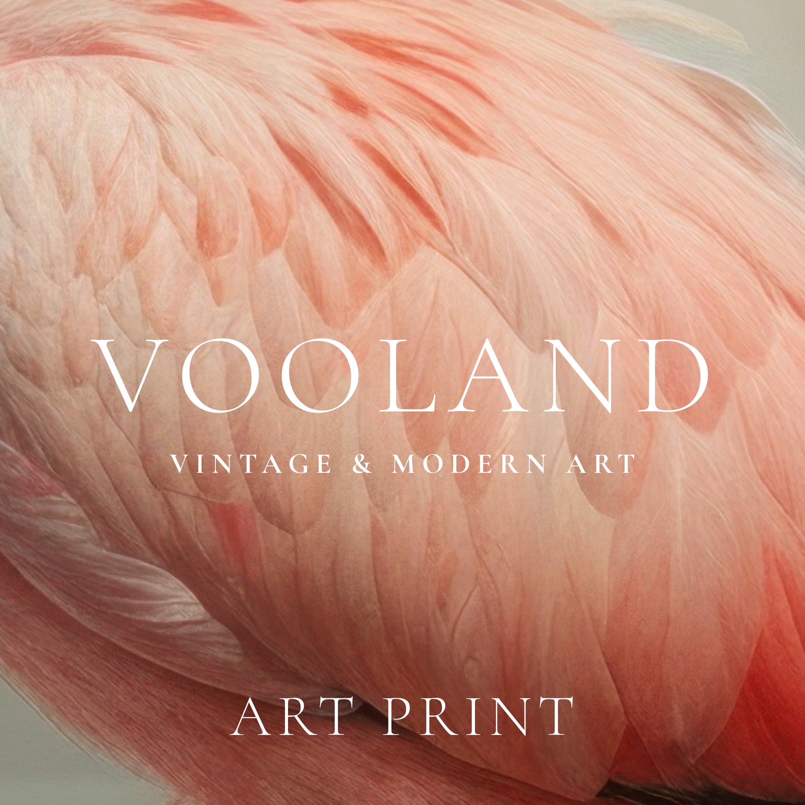 Digital Download: Vintage Flamingo Oil Painting Printable Art 19th ...