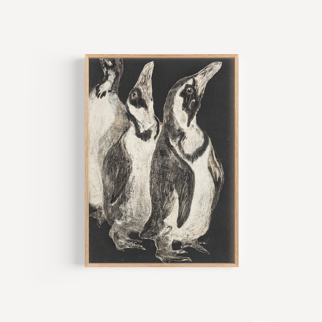 Three Penguins | Vintage Drawing | Printable Downloaf File | Fine Art ...