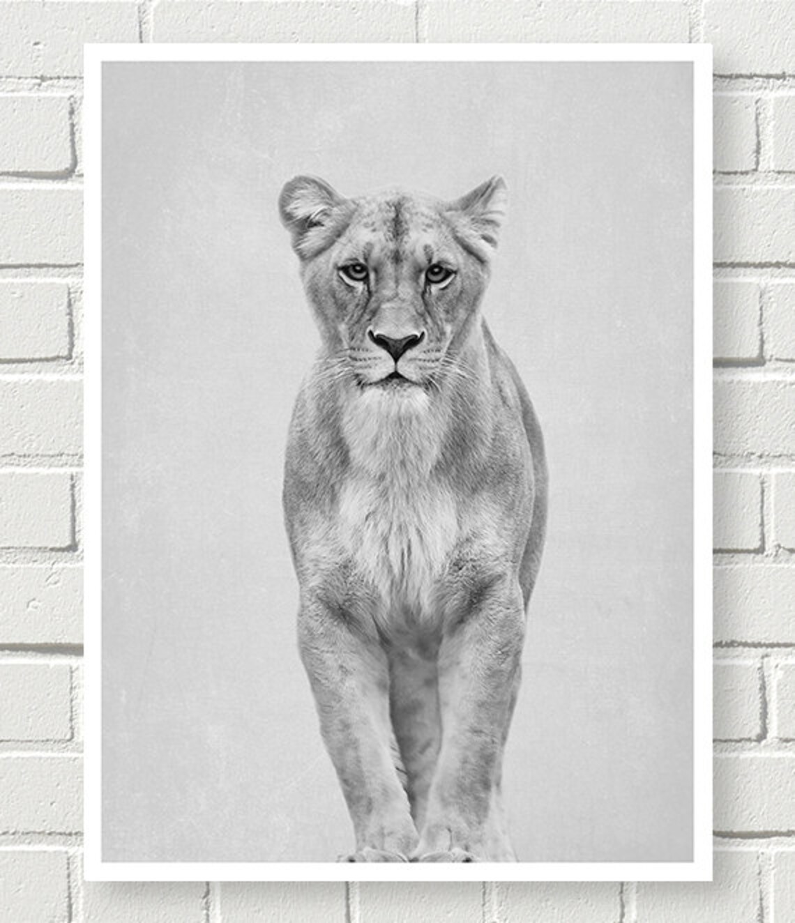 Lioness / Lion Print Contemporary Wall Art Printable Art | Etsy