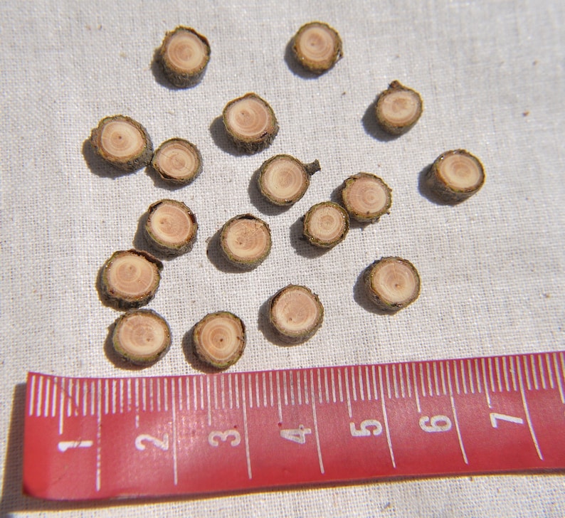 50 Mini Wood Slices 1 Cm Diameter Very Small Wood Rounds for - Etsy ...