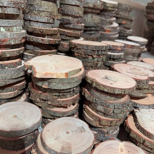 100 Discount Woodslices • Assorted Pack of Wood Slices • Tree Slices ...