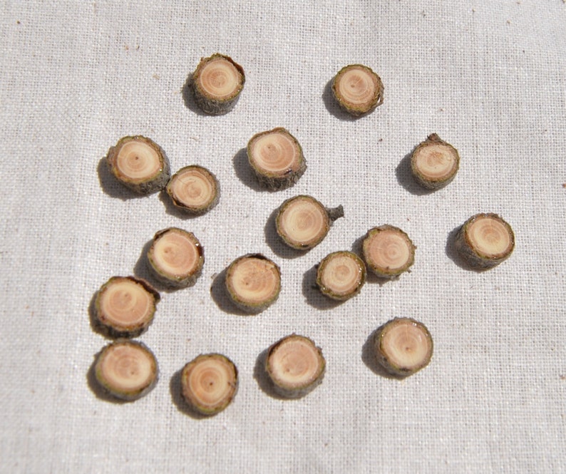 50 Mini Wood Slices 1 Cm Diameter Very Small Wood Rounds for - Etsy ...