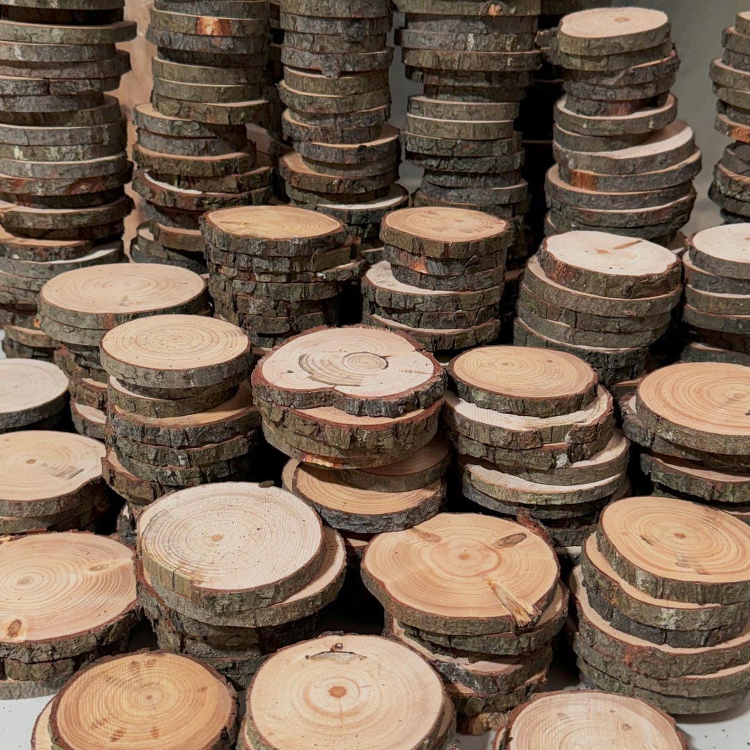 100 Discount Woodslices • Assorted Pack of Wood Slices • Tree Slices ...