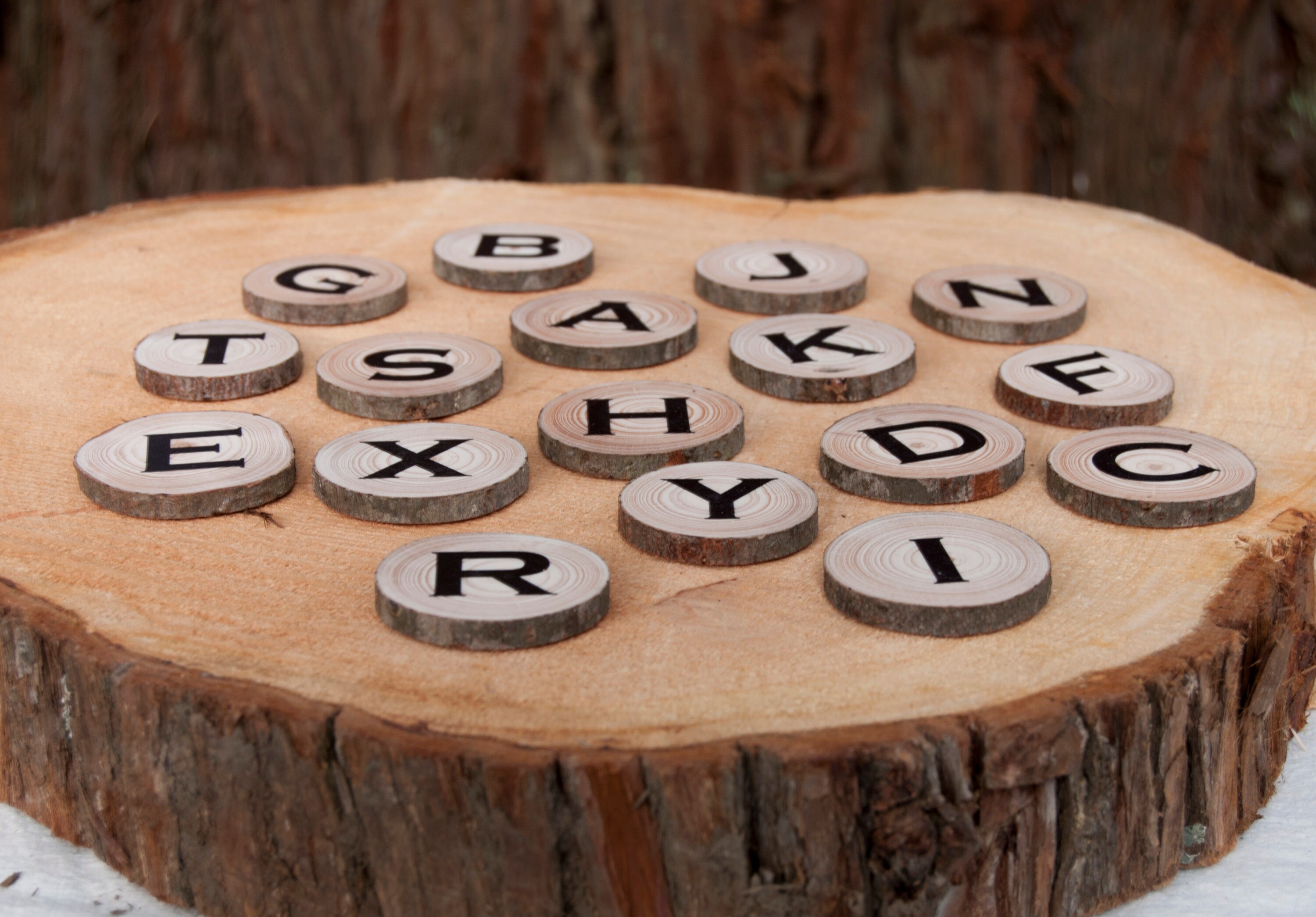 14 Things You Didn t Know About Magnetic Alphabet Letters Kmart 