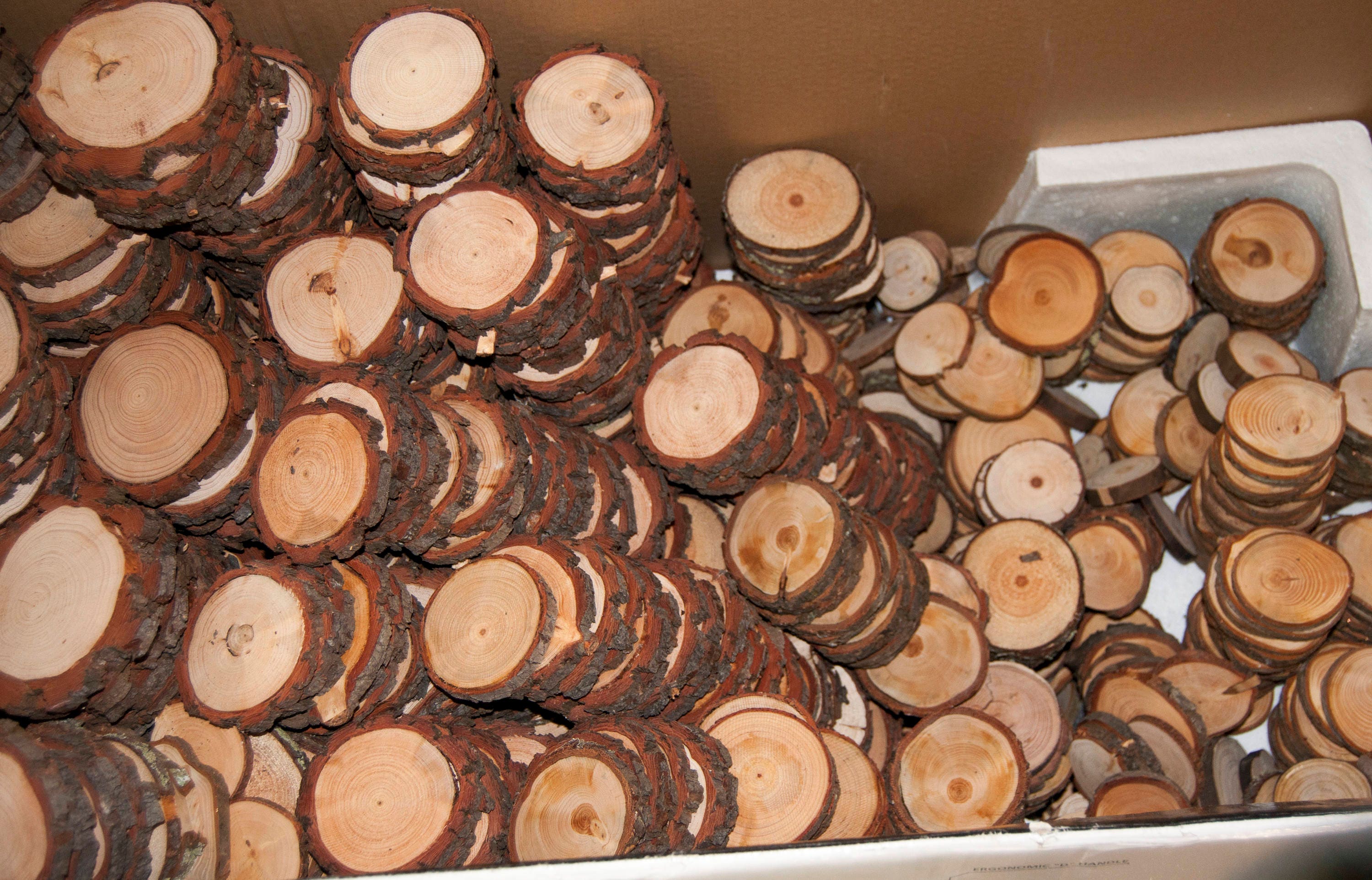 100 Discount Woodslices Assorted Pack of Wood Slices Tree | Etsy