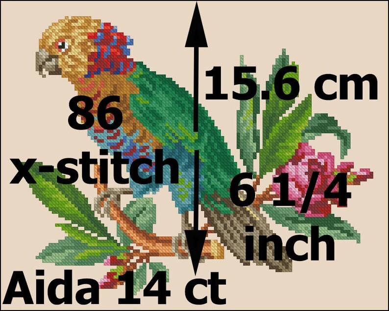 Bird Floral Parrot Cross Stitch Pattern Berlin Woolwork - Etsy