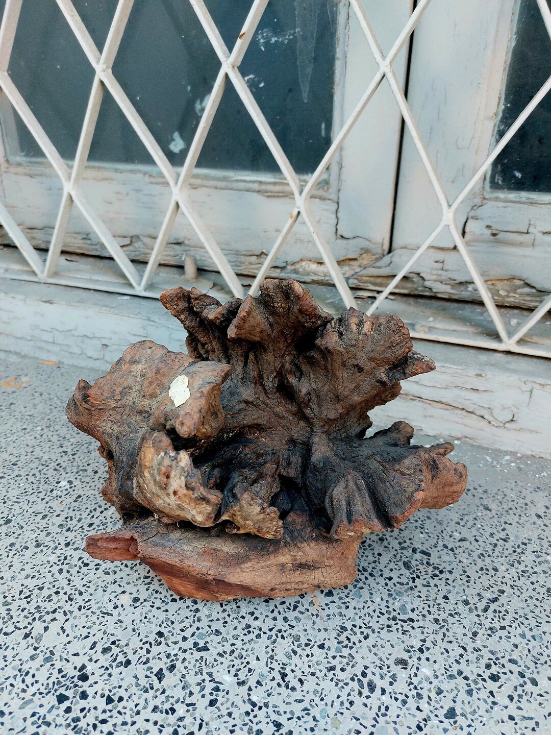 Ikebana Wood Tree Root Display Piece - Etsy