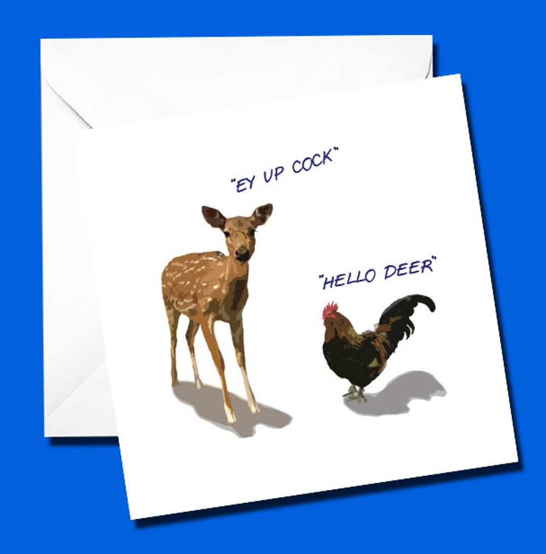 Birthday Card, Funny Card, Rude Card, Illustrated Card, Humour, Happy ...