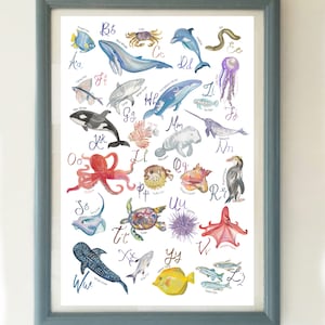 Sea Animals Alphabet Print, A-Z Sea Creatures, Nursery Art, Kids ...