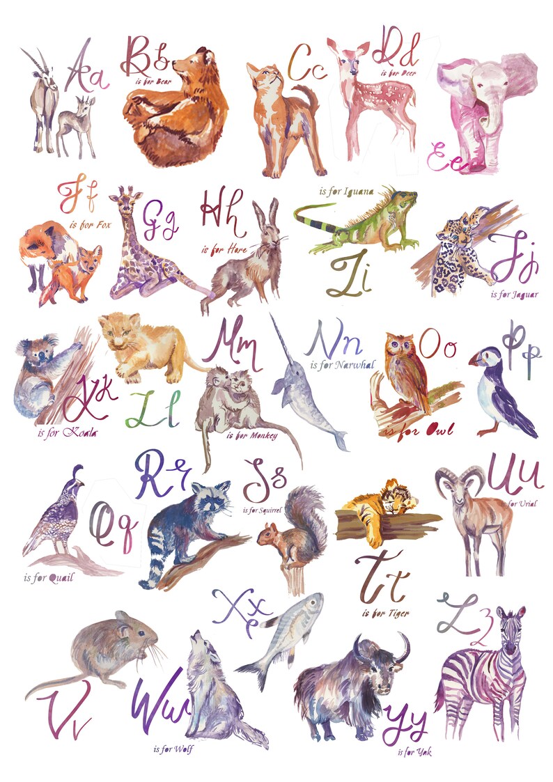 Animal Alphabet Print A-Z of Animals Poster Nursery Art - Etsy